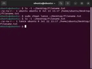 Easily Change Ownership of File in Linux Chown Command